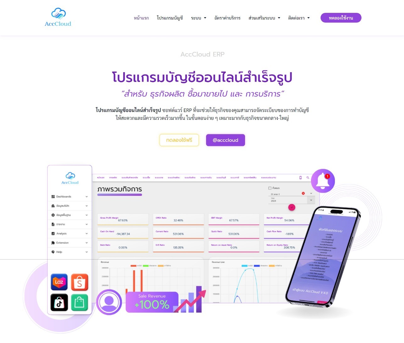 การวาง “ระบบบัญชี” คืออะไร ? มีกี่ประเภท ? ทำไมสำคัญสำหรับบริษัท - โปรแกรมบัญชี AccCloud